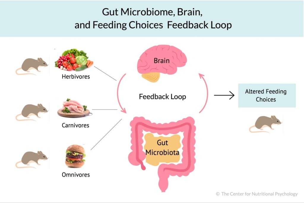Are You What Your Gut-Microbiome Wants You To Eat? - The Center for ...