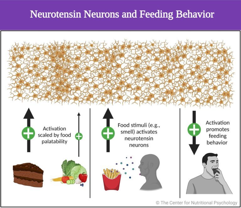 Why Are Hyper-palatable Foods So Alluring? - The Center for Nutritional ...