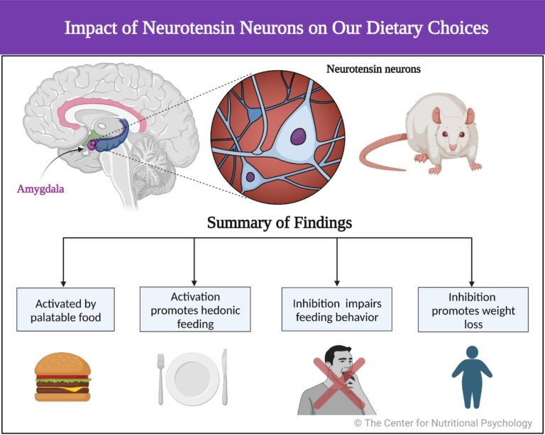Why Are Hyper-palatable Foods So Alluring? - Nutritional Psychology
