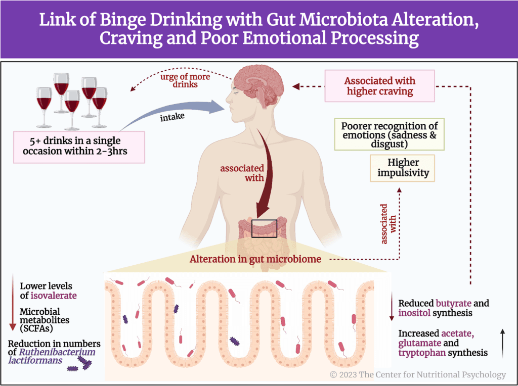 What Binge Drinking Does to Your Gut and Your Brain
