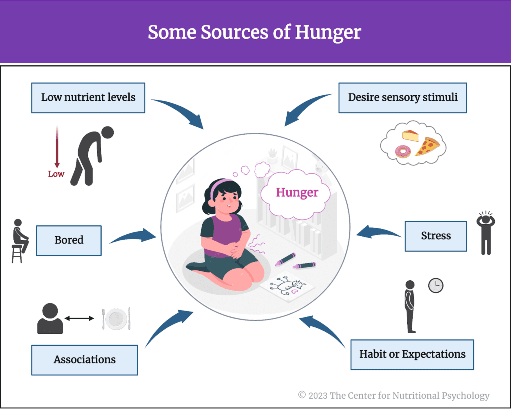 Hangry: Is the Concept of Food and Mood Connection Real?