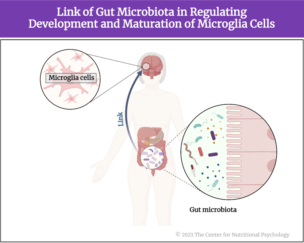 Western Diet Plays a Crucial Role in Shaping the Effects of Gut Microbiota