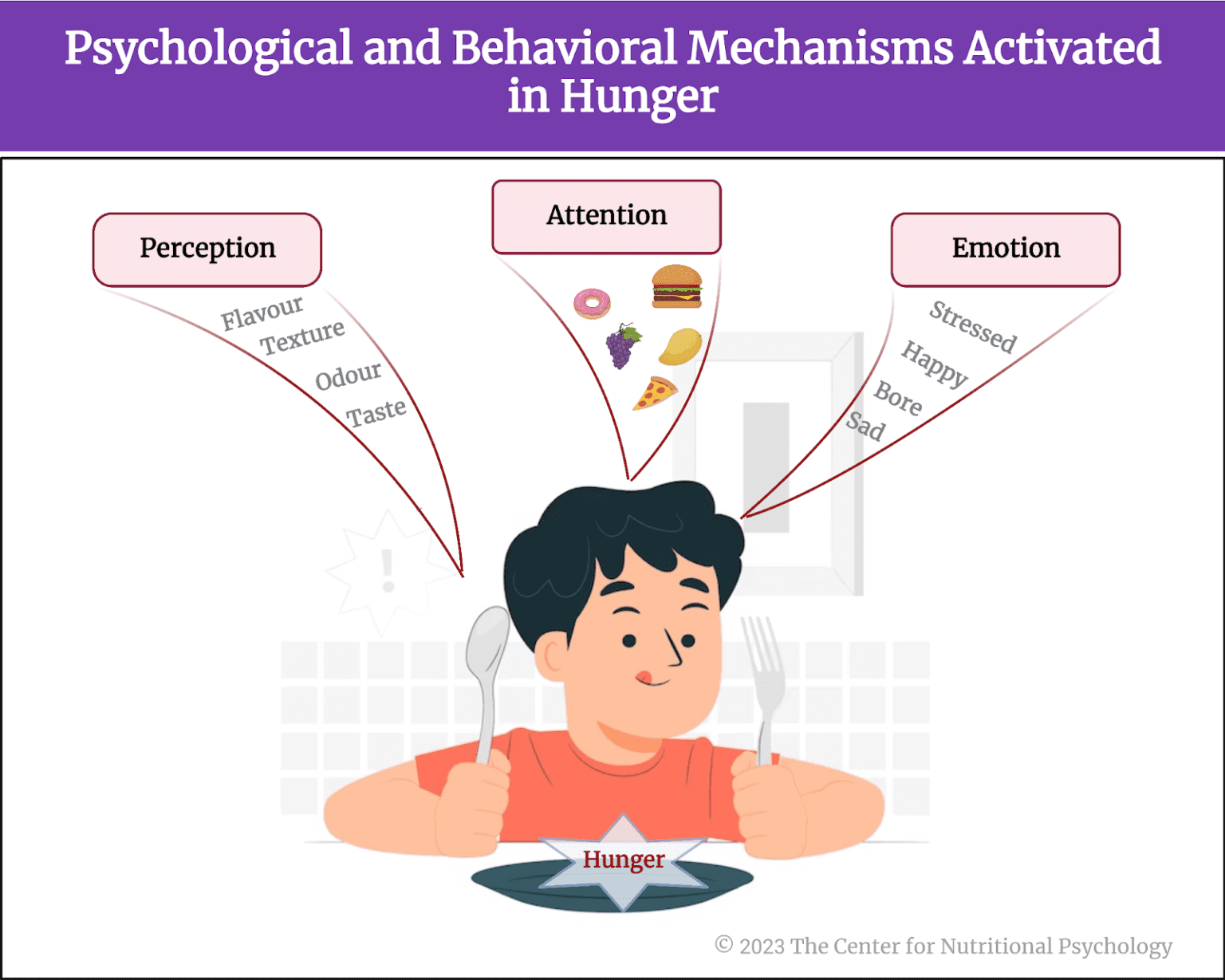 Hunger and Food Craving Result from Restrained Eating