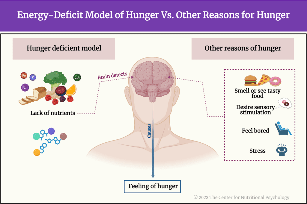 Are Hunger Cues Learned in Childhood? - Nutritional Psychology