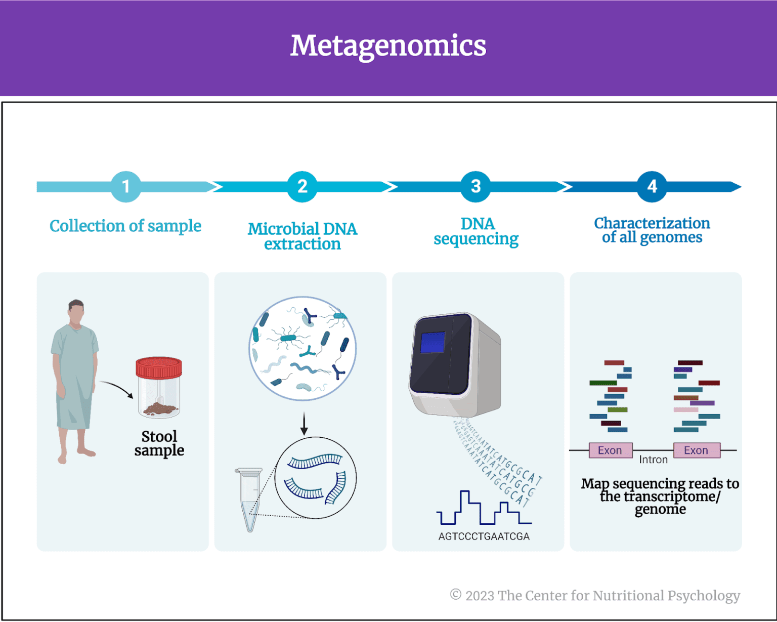 Gut Microbiota's Role in Mental Health: The Positives and Negatives