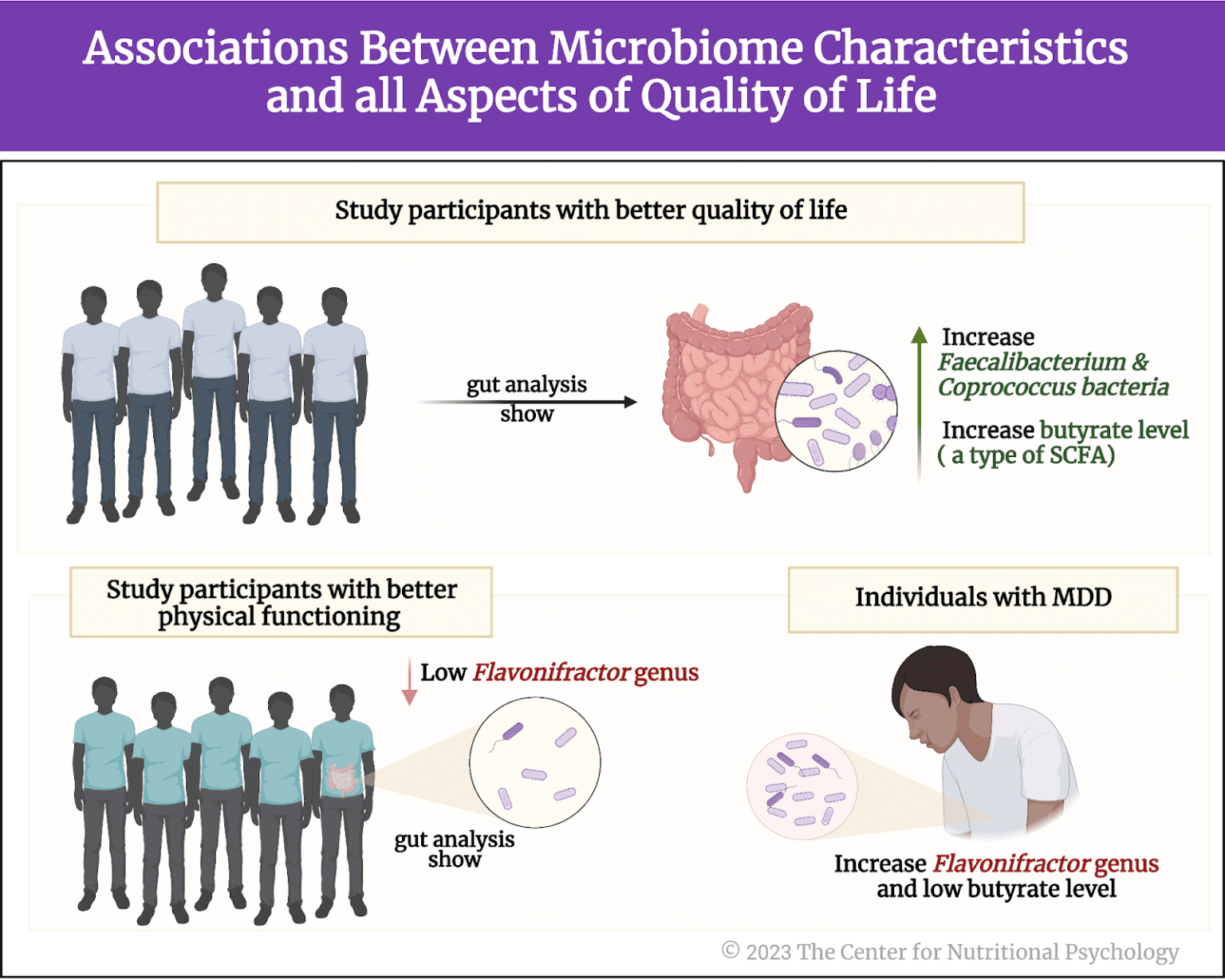 Gut Microbiota's Role in Mental Health: The Positives and Negatives