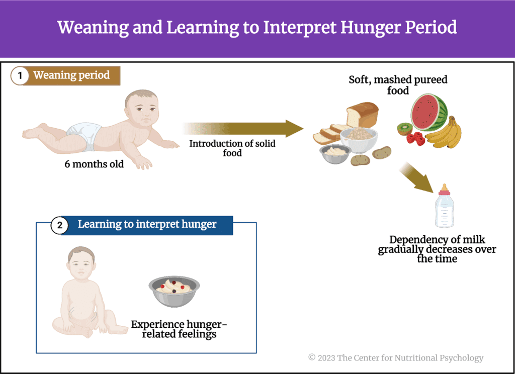 Are Hunger Cues Learned in Childhood? - Nutritional Psychology