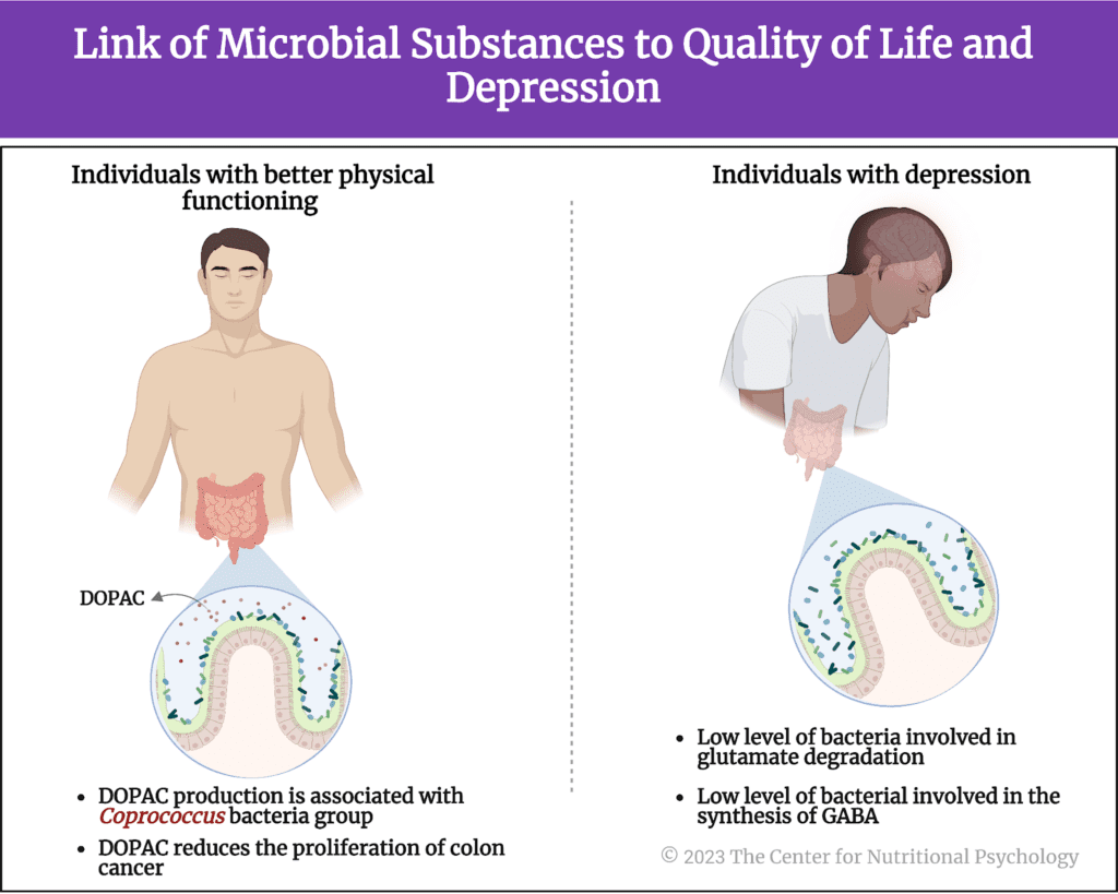 Gut Microbiota's Role in Mental Health: The Positives and Negatives