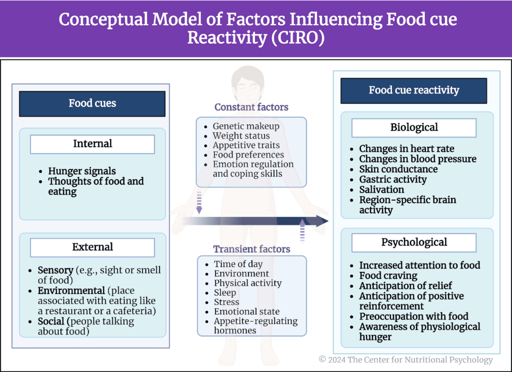 What is "Food Noise" and How Does it Influence the DMHR?