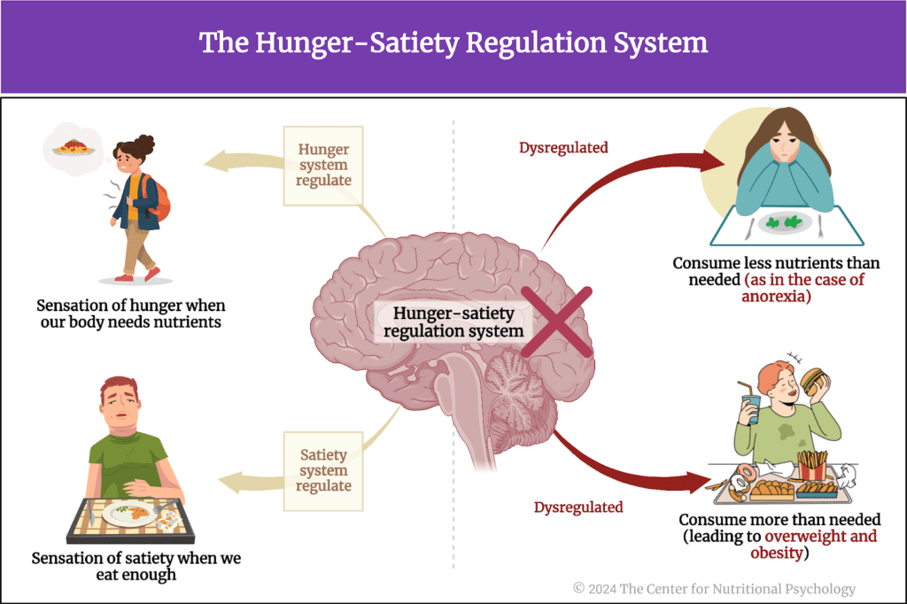 What is "Food Noise" and How Does it Influence the DMHR?