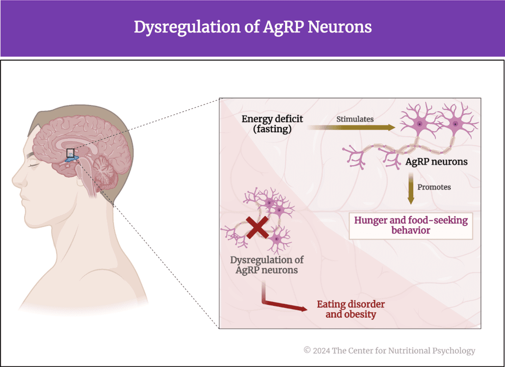 Researchers Identify Neural Pathways Transmitting Anti-Inflammatory ...