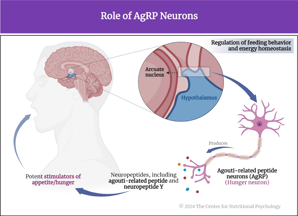 Researchers Identify Neural Pathways Transmitting Anti-Inflammatory ...