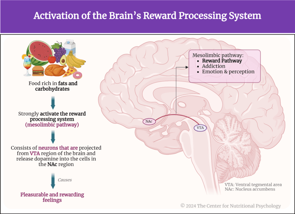 What Makes Us Like or Dislike Specific Foods?