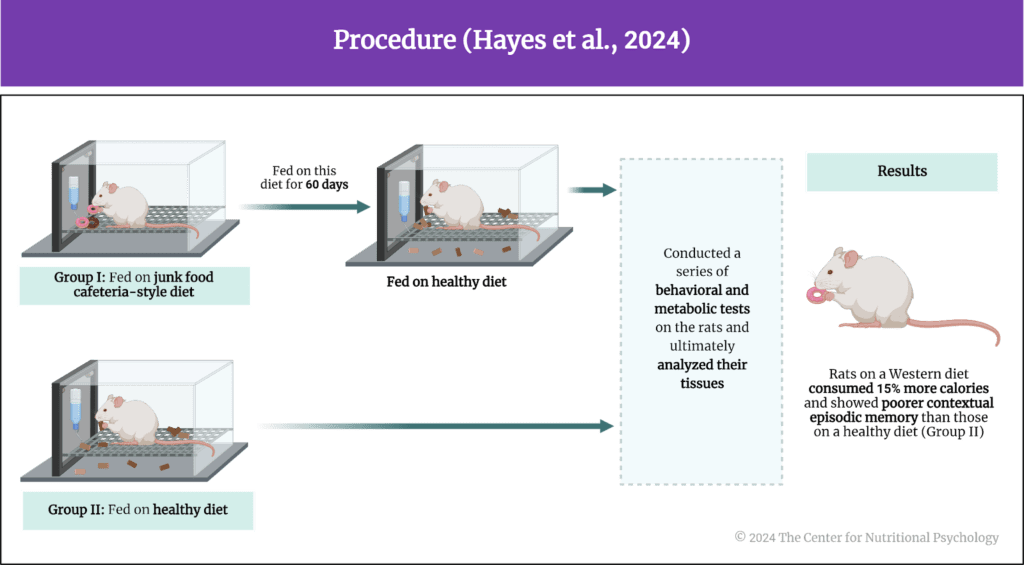 Western Diet Impairs Memory in Rats. Can It Do So in Humans?