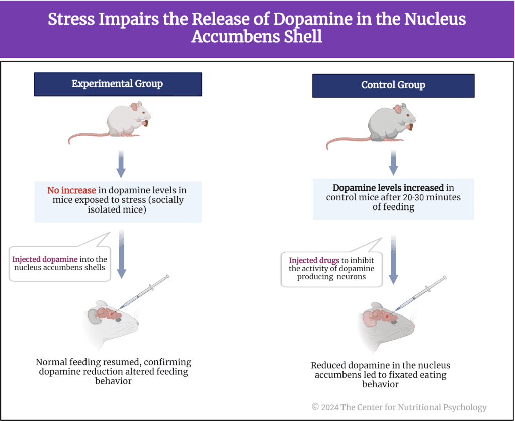 Stress Changes Feeding Behavior in Mice. What About People?