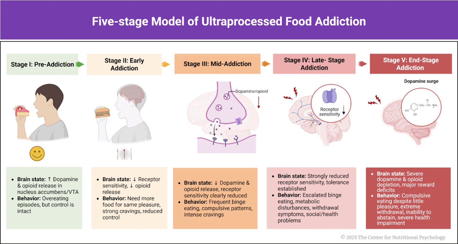Five Stages of Ultra-Processed Food Addiction Explained - The Center ...