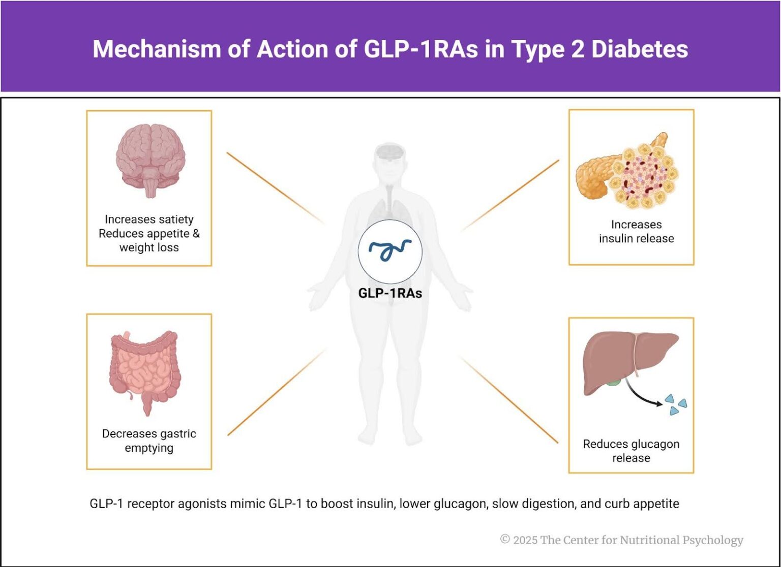 GLP-1RAs Reduce External Eating Behavior in Individuals with Type 2 ...